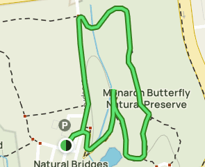 Monarch Butterfly Natural Preserve Loop: 307 foton – Kalifornien ...