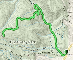 Bee Canyon Trail: 630 Reviews, Map - California | AllTrails