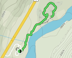 Skunk Cabbage Trail, British Columbia, Canada - 92 Reviews, Map | AllTrails