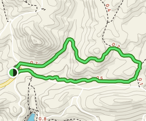 Daley Ranch Creek Crossing Loop: 314 Reviews, Map - California | AllTrails