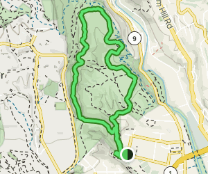 Fern Trail, Spring Trail and Lookout Trail Loop: 716 foto's ...