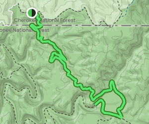 Beech Bottom Trail: 322 Reviews, Map - Tennessee | AllTrails