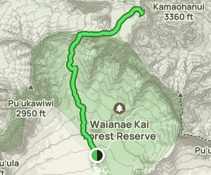 Mount Kaʻala Trail: 1479 Reviews, Map - Oahu, Hawaii | AllTrails