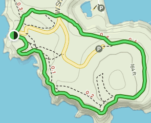 Bodega Head Trail: 1,538 Reviews, Map - California | AllTrails