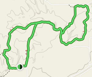Holly Ridge Conservation Area Loop: 51 Reviews, Map - Missouri | AllTrails