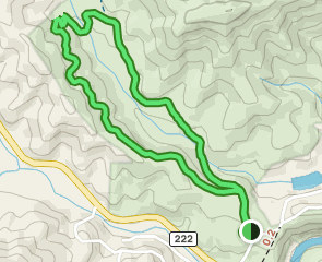 Long Branch Loop Trail: 1,869 Reviews, Map - Georgia | AllTrails