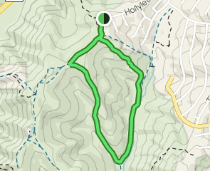 Cholla and Lynx Trail Loop: 209 Reviews, Map - California | AllTrails