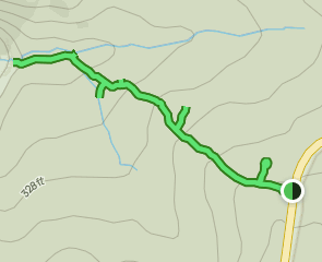 America Bay Walking Track, New South Wales, Australia - 117 Reviews ...