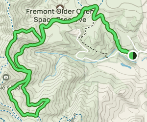Hayfield Trail to Toyon and Bay View Loop - California | AllTrails