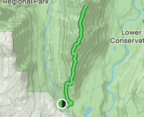 Lynn Peak Route, British Columbia, Canada - 378 Reviews, Map | AllTrails