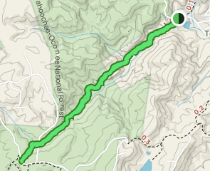Dead Man Branch Trail: 101 fotos - Geórgia | AllTrails