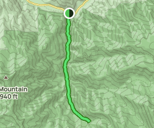 Columbine Trail: 441 Reviews, Map - New Mexico | AllTrails