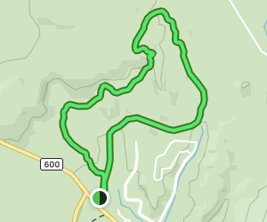 Coyote Hill Loop Trail: 661 Reviews, Map - Colorado | AllTrails