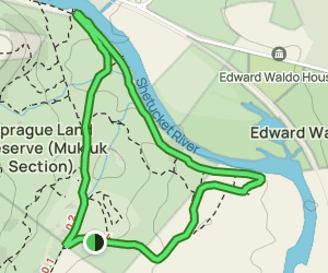 Shetucket River Ridge Trail: 265 Reviews, Map - Connecticut | AllTrails