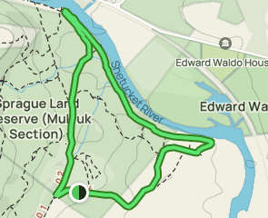 Shetucket River Ridge Trail, Connecticut - 268 Reviews, Map | AllTrails