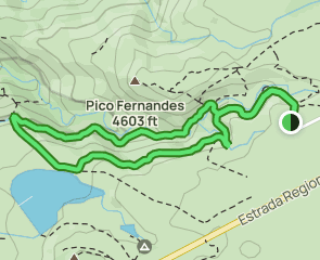 Ovil - Levada do Alecrim - Barragem do Pico da Urze: 245 fotos - Região ...