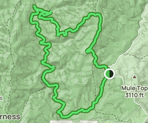 Jacks River and Penitentiary Branch Loop Trail: 69 Reviews, Map ...