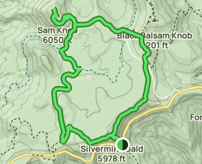 Sams Knob via Art Loeb Trail Loop, North Carolina - 236 Reviews, Map ...