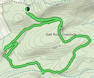 Deep Gap and Wilderness Falls Loop Trail: 285 Reviews, Map - North ...