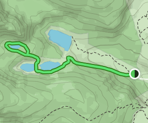 Slater Lake Hike: 98 Reviews, Map - Colorado | AllTrails