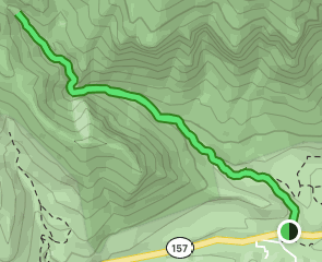 Fletcher Canyon, Nevada - 2,261 Reviews, Map | AllTrails