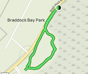 Braddock Bay Trails - New York | AllTrails