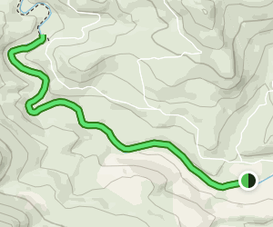 Catlins River Track | Mappa, Guida - Otago, New Zealand | AllTrails