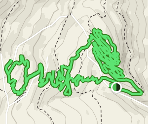 Mount Emily Recreation Area MTB Loop: 6 Reviews, Map - Oregon | AllTrails