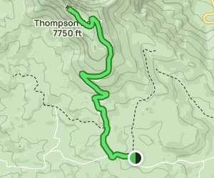 Thompson Peak Trail: 19 Reviews, Map - California | AllTrails