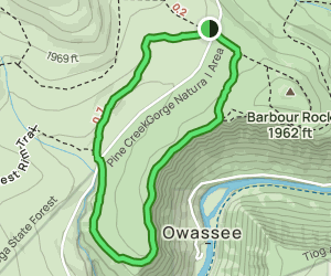 West Rim Trail Loop - Pennsylvania | AllTrails