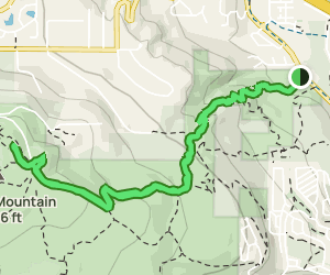 Big Tree Ridge Trail: 398 Reviews, Map - Washington | AllTrails