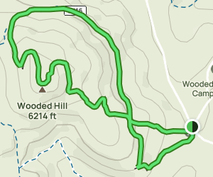 Wooded Hill Nature Trail: 386 Reviews, Map - California | AllTrails