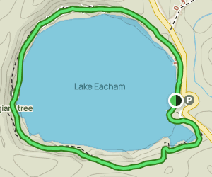 Lake Eacham Circuit Track: 77 Reviews, Map - Queensland, Australia ...