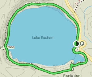 Lake Eacham Circuit Track: 164 Fotos - Queensland, Australien | AllTrails