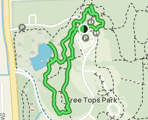 Tree Tops Nature Trail Loop, Florida - 488 Reviews, Map | AllTrails