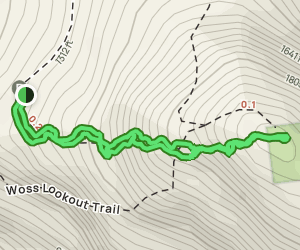 Woss Lookout: 66 Reviews, Map - British Columbia, Canada | AllTrails