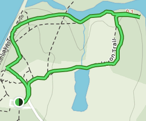 Sterling Nature Center Heron Trail: 114 Reviews, Map - New York | AllTrails