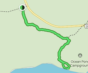 Ocean Pond via Florida Trail: 33 Reviews, Map - Florida | AllTrails