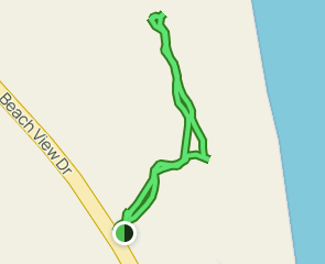 Driftwood Beach Trail: 141 Reviews, Map - Georgia | AllTrails