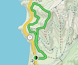 Gray Whale Cove Trail Loop: 344 Reviews, Map - California | AllTrails