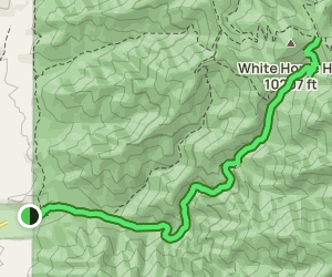 Three Rivers Trail: 138 Reviews, Map - New Mexico | AllTrails