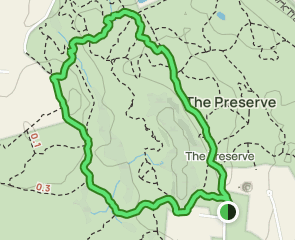 Pequot Swamp Pond Trail: 487 Reviews, Map - Connecticut | AllTrails