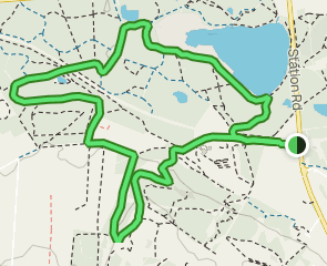 Old Pale Hill and Delamere Forest, Cheshire, England - 727 Reviews, Map ...