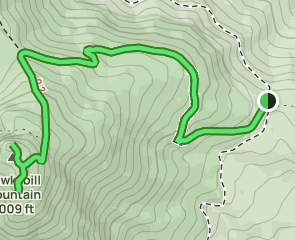 Hawksbill Mountain Trail North Carolina 3 836 Reviews Map Alltrails