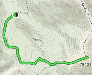 Pedley Pass Trail to Ridge, British Columbia, Canada - 146 Reviews, Map ...