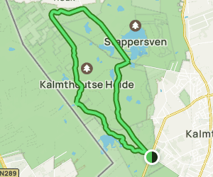 Kalmthoutse Heide: 35 Reviews, Map - Antwerp, Belgium | AllTrails