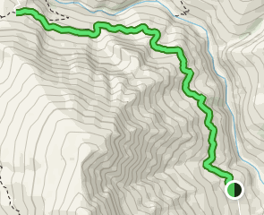 Moonlight Track from Arthurs Point, Otago, New Zealand - 118 Reviews ...