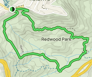 Redwood Forest Walk and Eagle's Nest Trail to Redwood Bridle Trail: 134 ...
