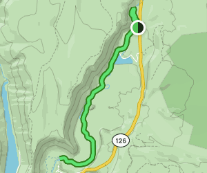 Sahalie Falls, Koosah, and Tamolich Falls via McKenzie River Trail: 359 ...