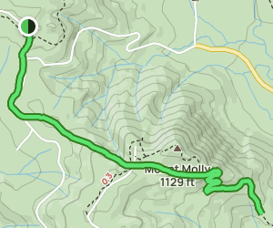 AllTrails | Mount Molly via Waddell Basin West Trail: 81 Reviews, Map ...